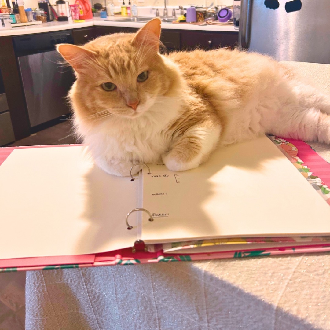 Blogging Update #2 – The Seven Keys to Reach the Mansion - Spicy Melon
